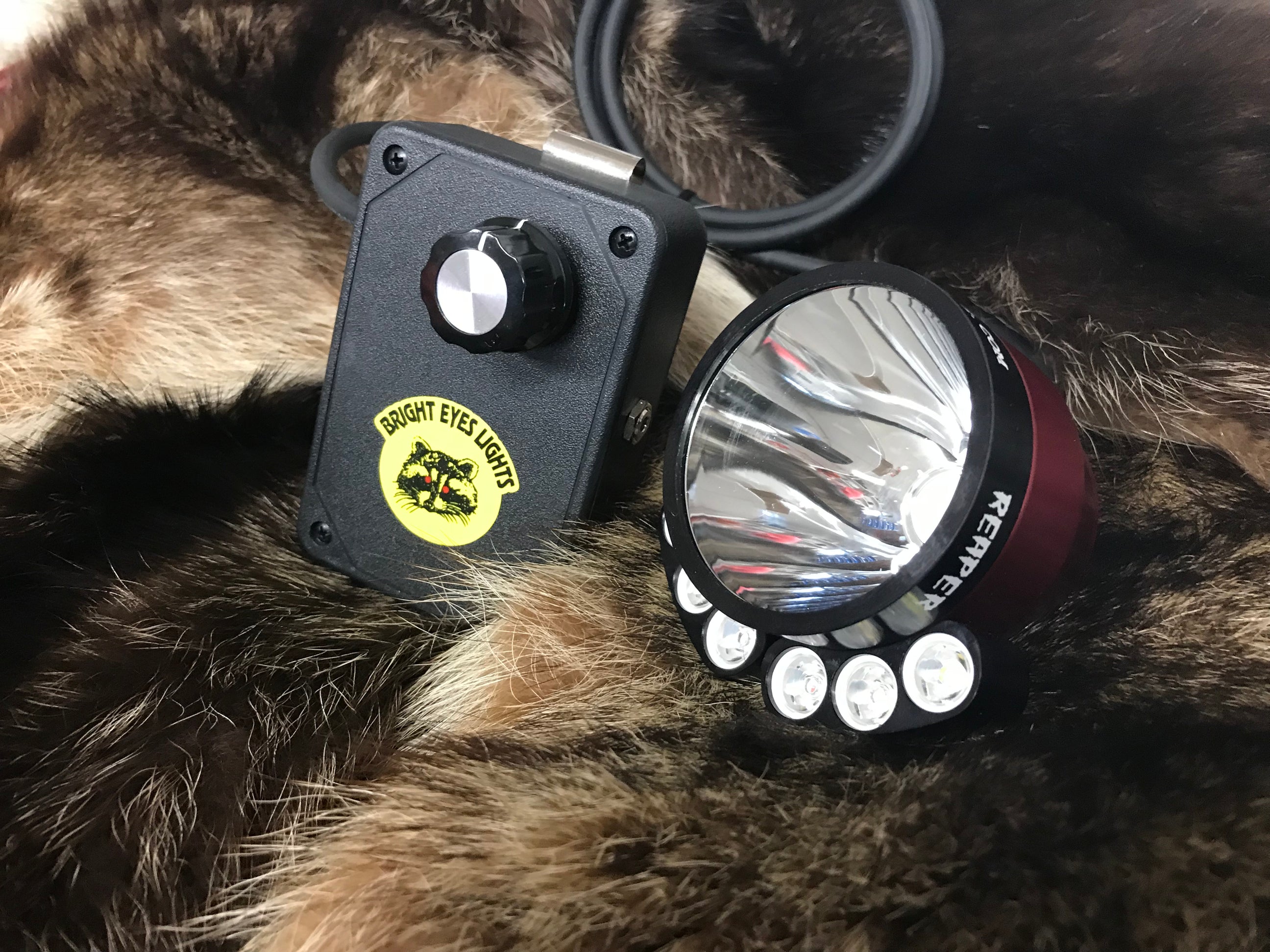 BRIGHT EYES BELT LIGHTS – Bright Eyes Lights